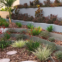 Formboss Steel Garden Edging for beautiful gardens