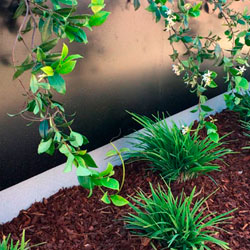 Formboss Steel Garden Edging for beautiful gardens